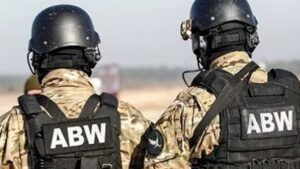 Strona główna - Angora 24